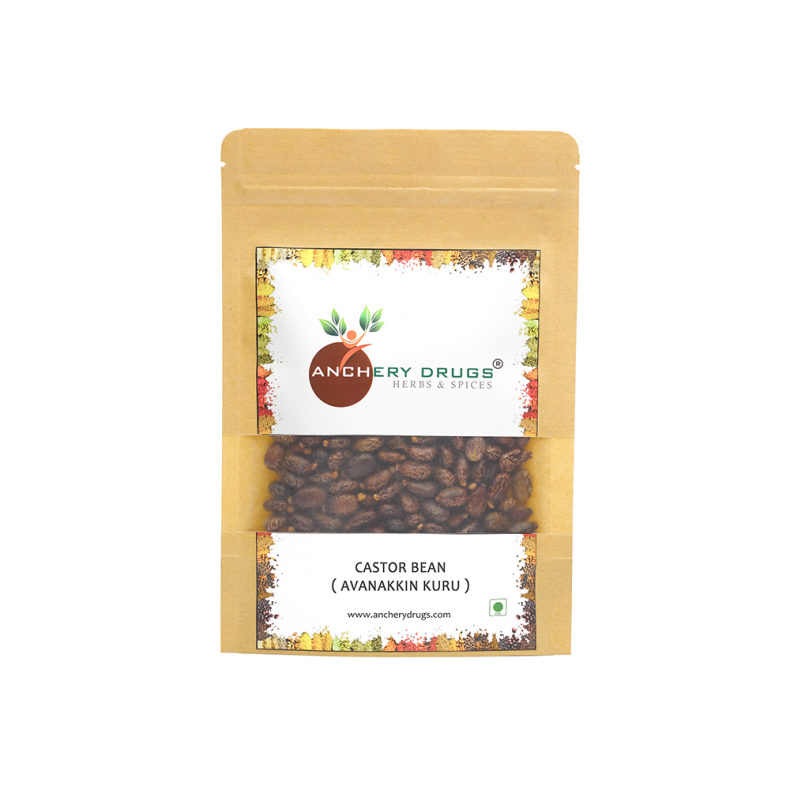 Buy Castor Seeds Online | Avanakku Premium Quality for Sale